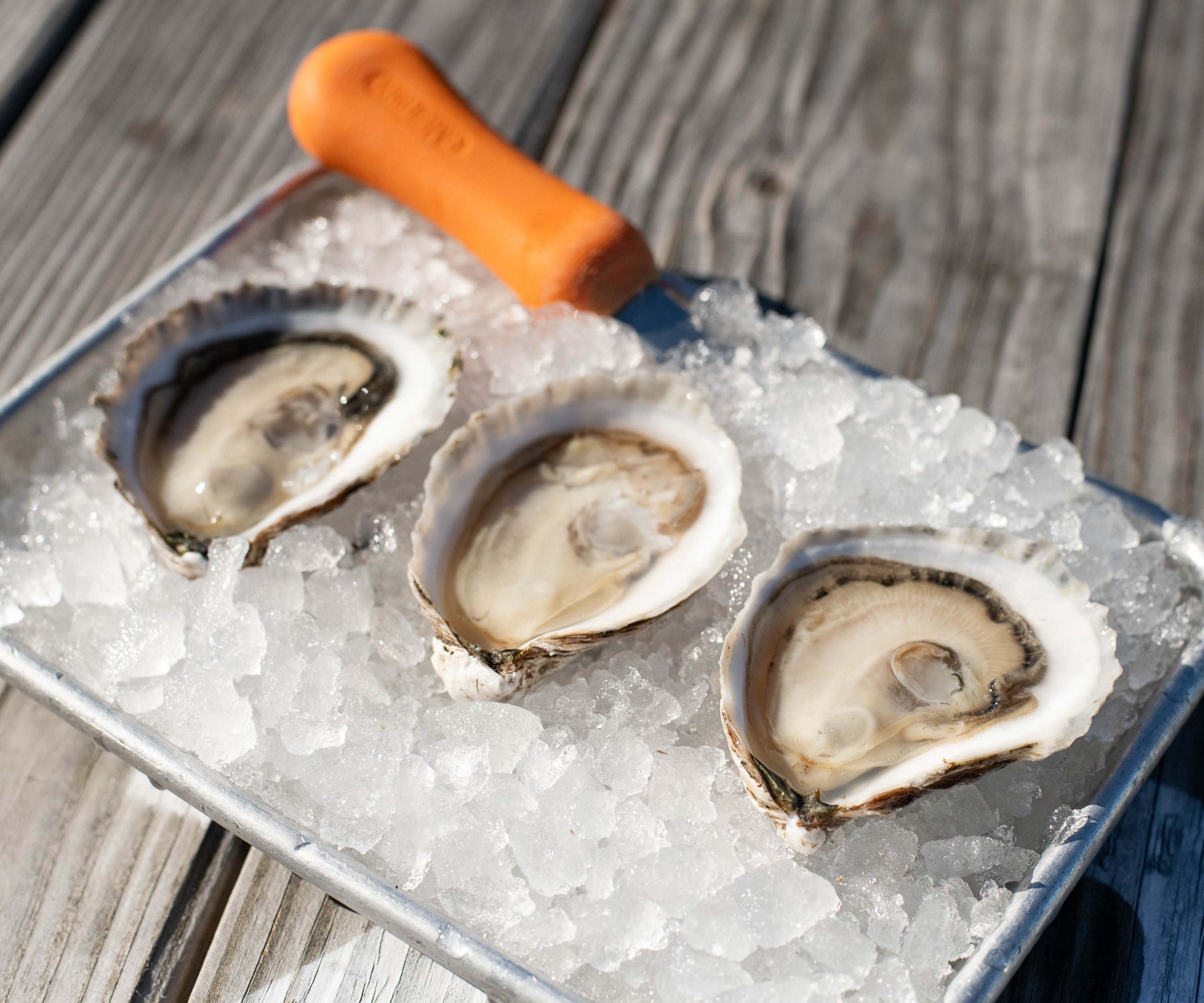 OYSTERS | FREE SHIPPING | NEXT DAY DELIVERY - Island Creek Oysters ...