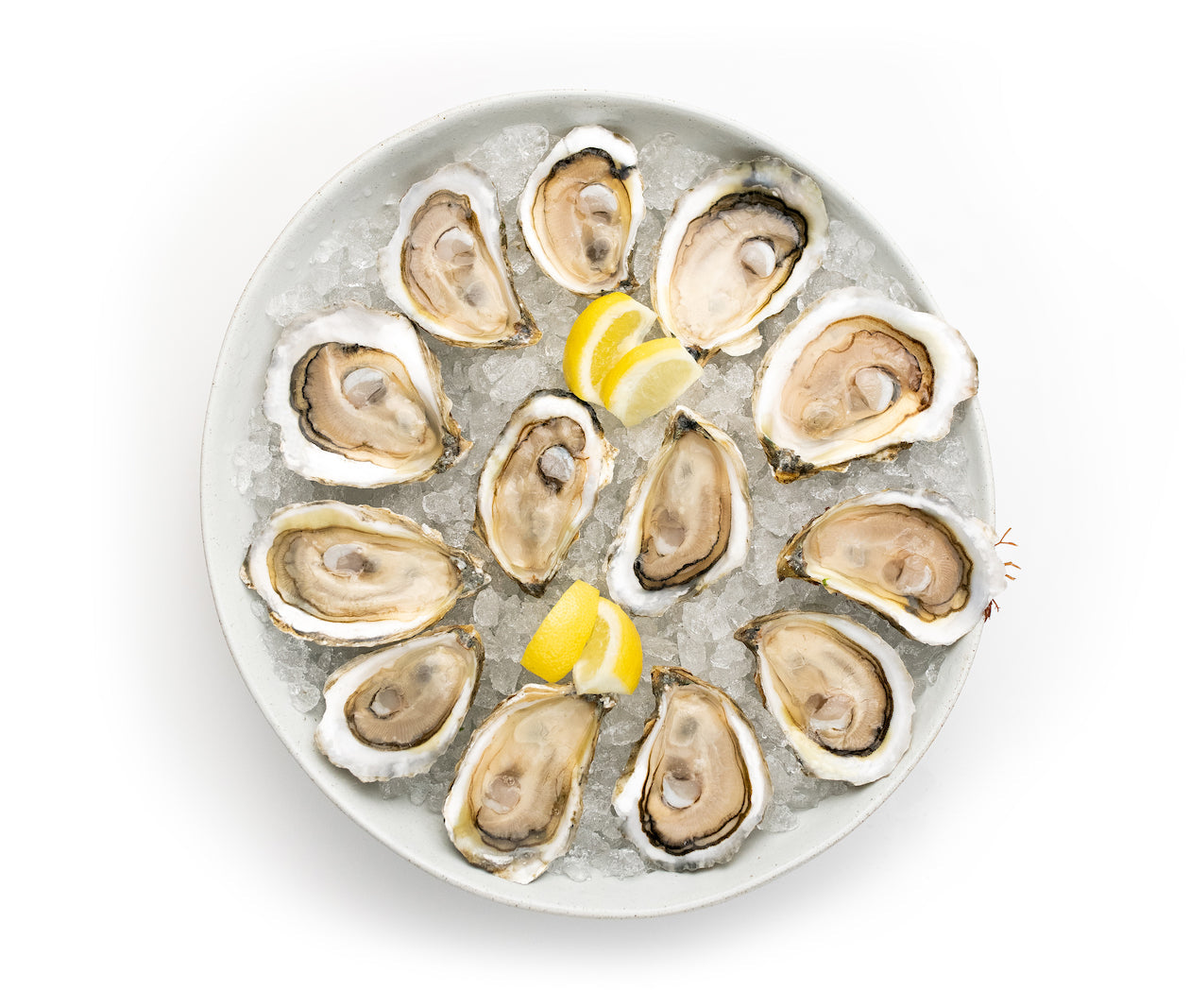 OYSTERS | DELIVERY THIS WEEK - Island Creek Oysters | Buy Oysters ...