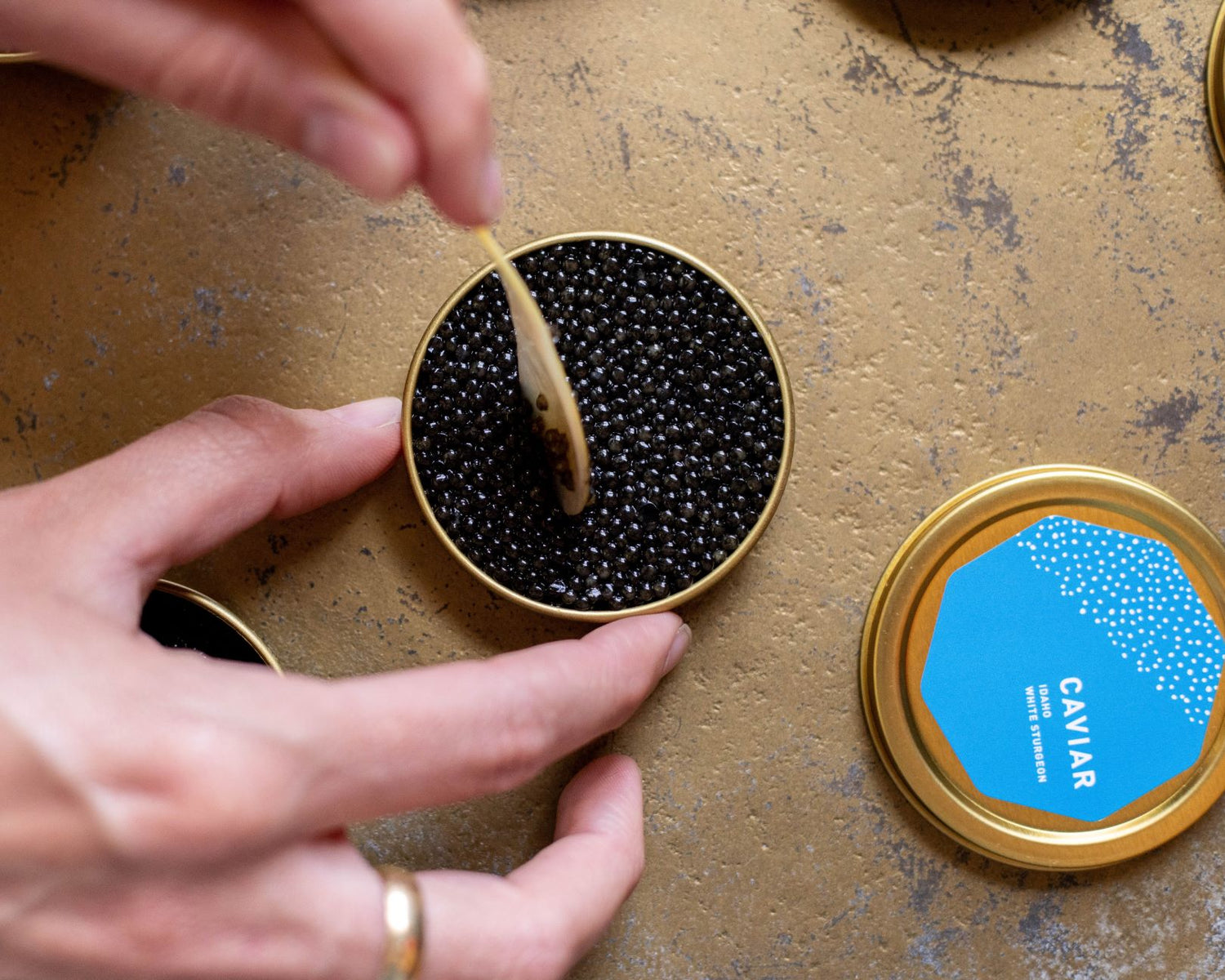 Idaho Springs White Sturgeon Caviar from Filer, Idaho - Island Creek ...