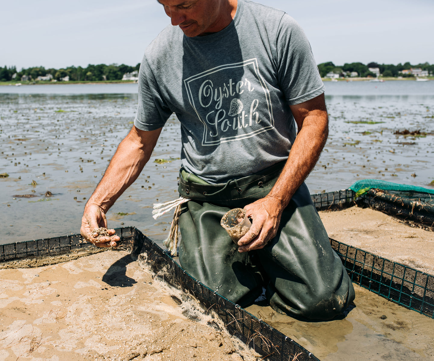 Island Creek Oysters from Duxbury, MA - Island Creek Oysters | Buy ...