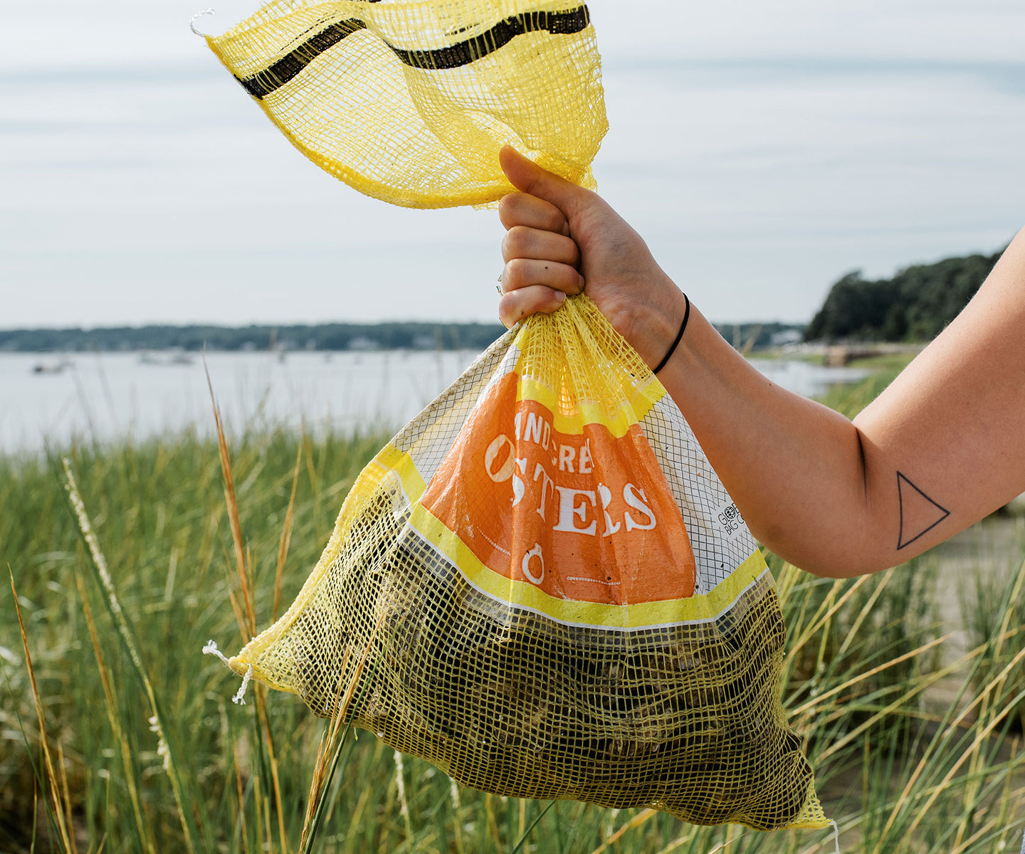 Island Creek Oysters from Duxbury, MA - Island Creek Oysters | Buy ...