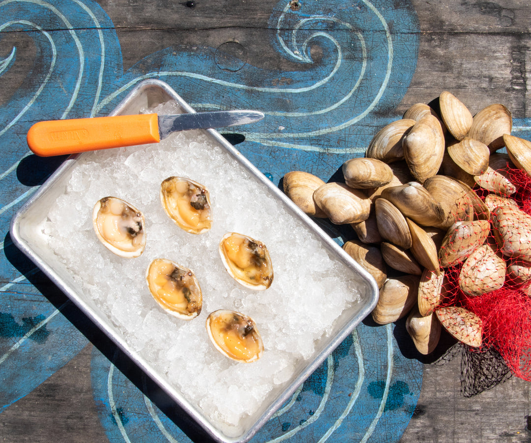 Surf Clams from Barnstable, MA - Island Creek Oysters | Buy Oysters ...