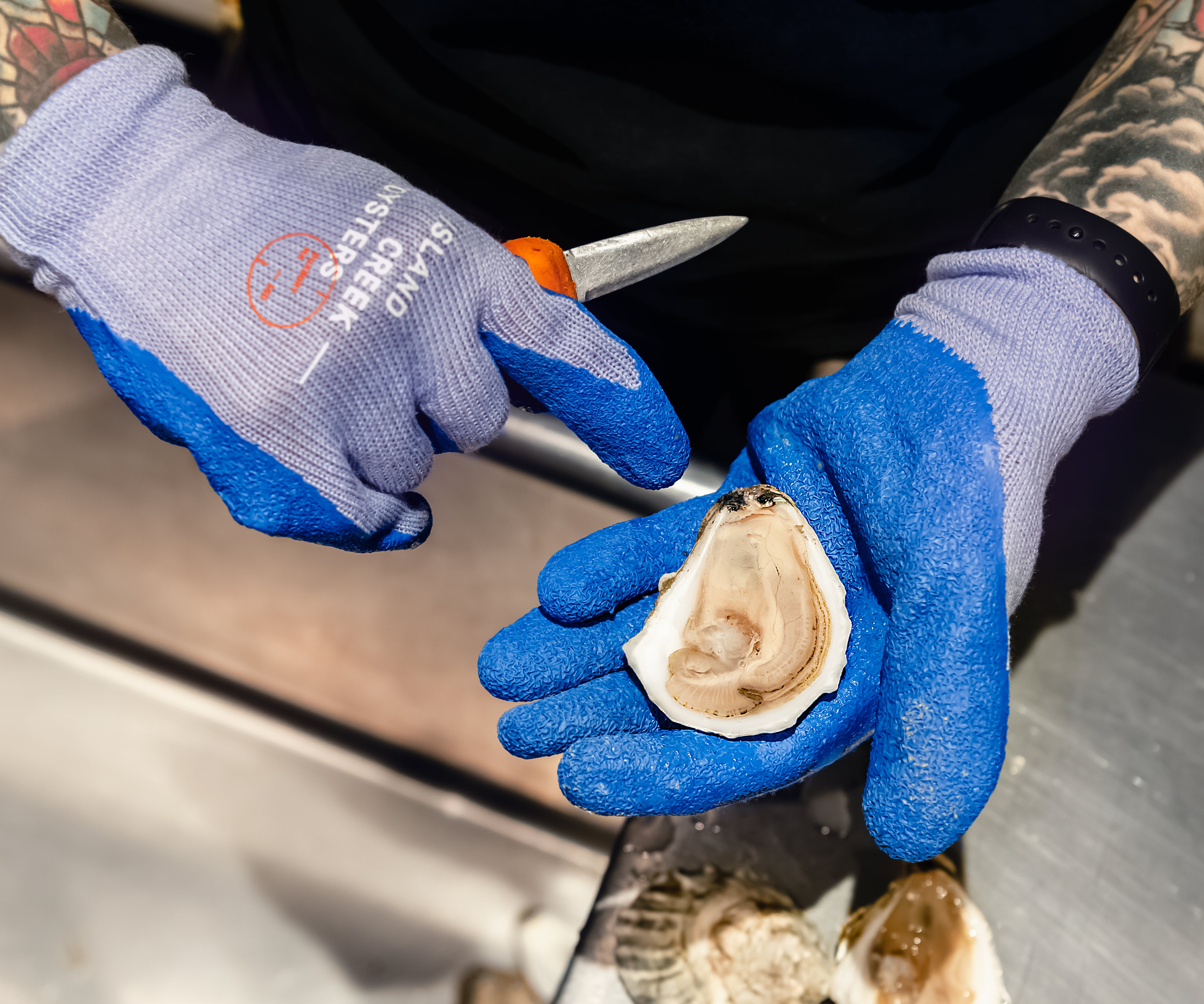 Shucking Gloves - Island Creek Oysters | Buy Oysters Online